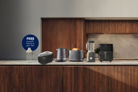 Electrolux Thailand | All Condo and Home Appliances - Free Delivery ...