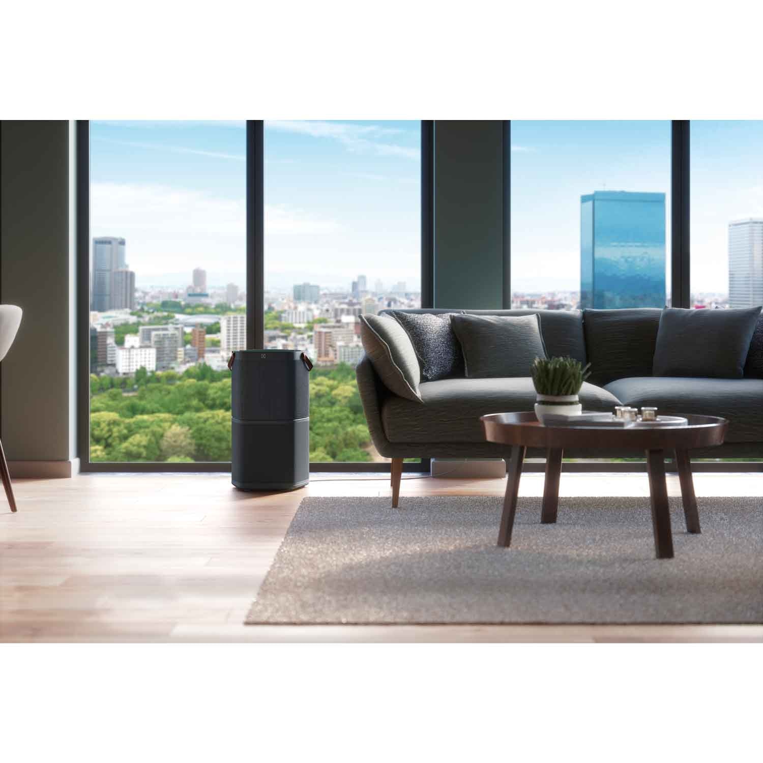 Electrolux Pure A9 Air Purifier PM 2.5 PA91-406DG